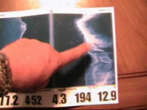 Tips 'n Tricks 19: Humminbird Understanding the Side Imaging View - YouTube