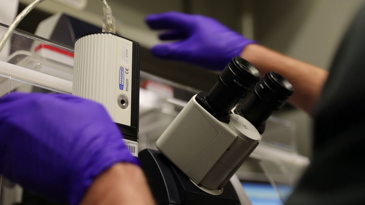 Ann Parr Interview - YouTube