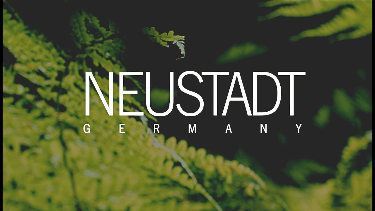 Neustadt GERMANY - Bleed It Out (feat. Nea) - YouTube