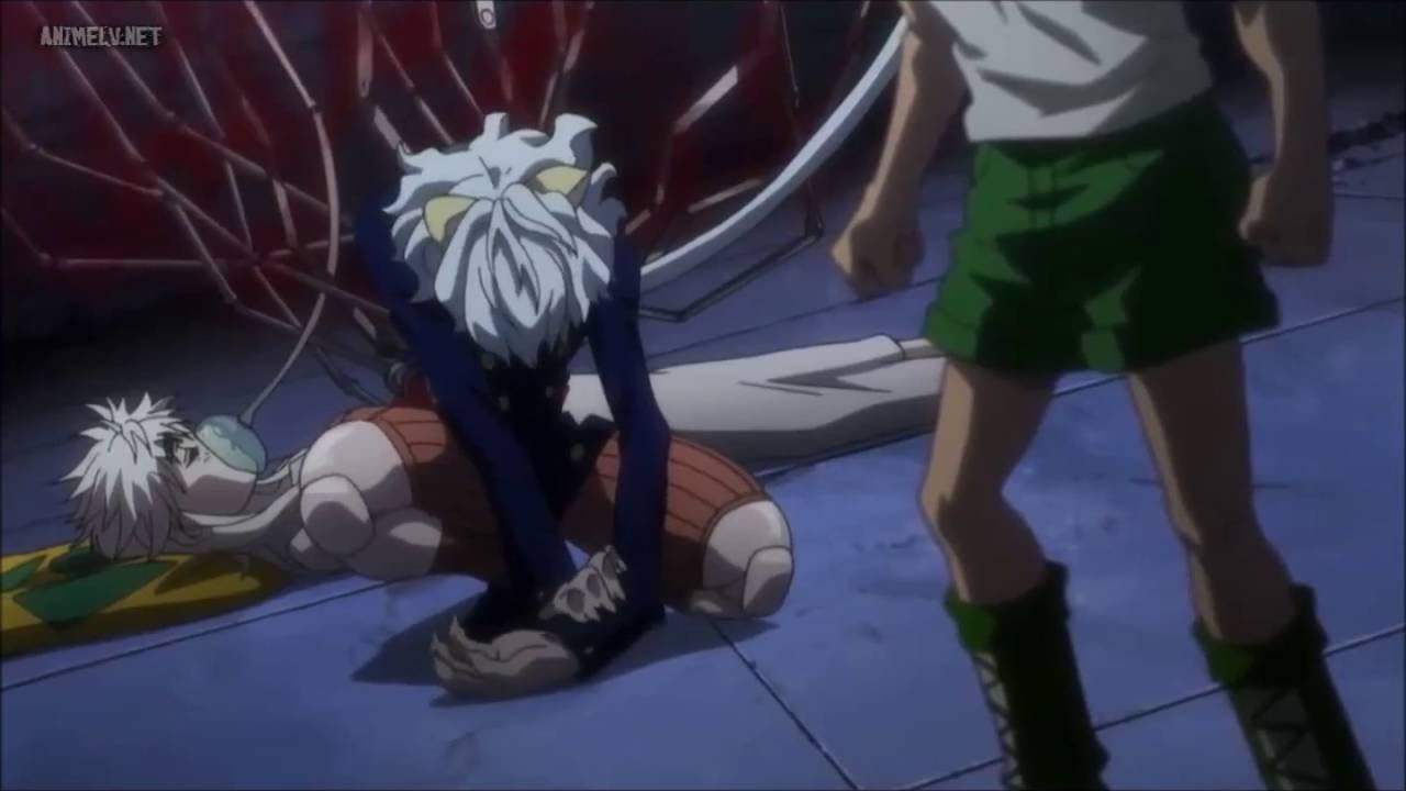 Gon vs Pitou. AMV - YouTube