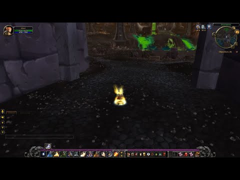 War on Deatholme | WotLK Paladin Hardcore - YouTube