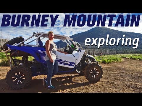 Exploring Burney Mountain Lookout in Northern California in a YXZ SXS