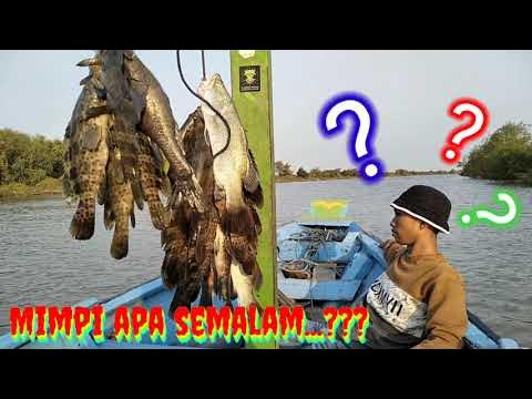 STRIKE TRUSS...‼️MANCING DI MUARA UJUNG PANGKAH ‼️#mancing #barramundi #kerapu #fishing# - YouTube