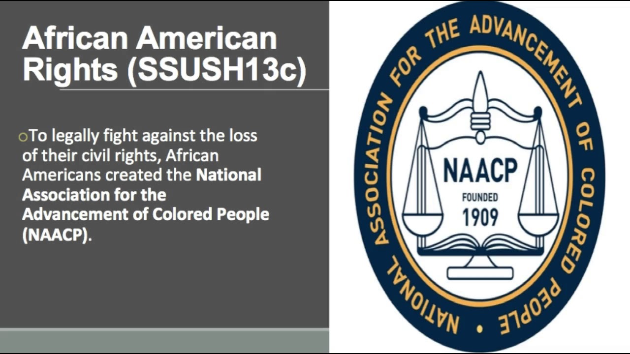 Georgia GSE U.S. History Standard 13 - YouTube