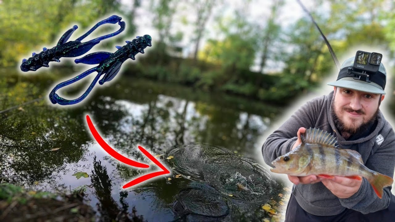 Massive Perch Haul with This Incredible Lure! - YouTube