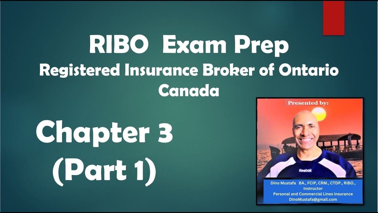 RIBO Chapter 3 Part 1 - YouTube