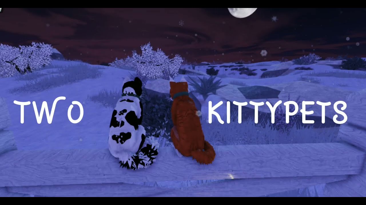 "Two. birds." Rusty & Smudge wcue - YouTube