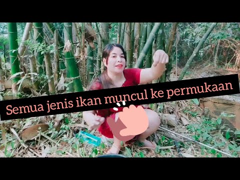 MEMANG REZEKI❤️KEMUNCULAN IKAN PUTIH SISIK🎣