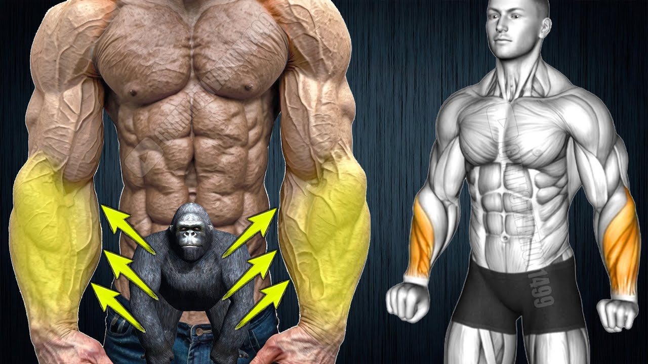 6 Simple Exercises to Get Huge Forearms in 30 Days - YouTube