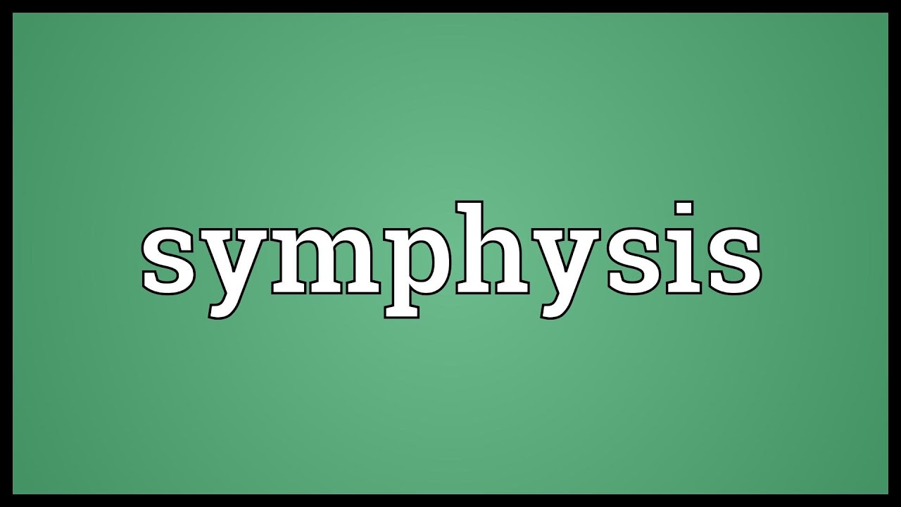 Symphysis Meaning - YouTube