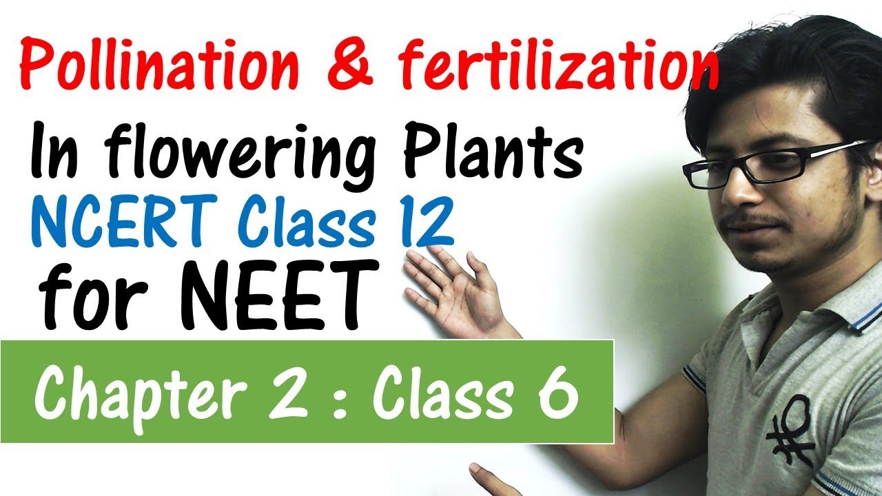 Pollination and fertilization in flowering plants class 12 NCERT ...