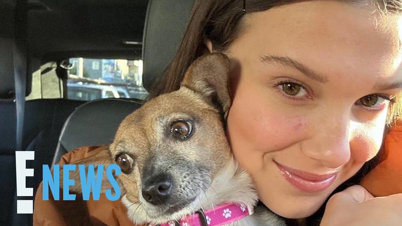 Meet Millie Bobby Brown's Cute Vanderpump Dogs Rescue | E! News - YouTube