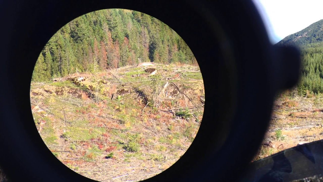 Trijicon TA31F-G ACOG shooting steel at 200 yards. - YouTube