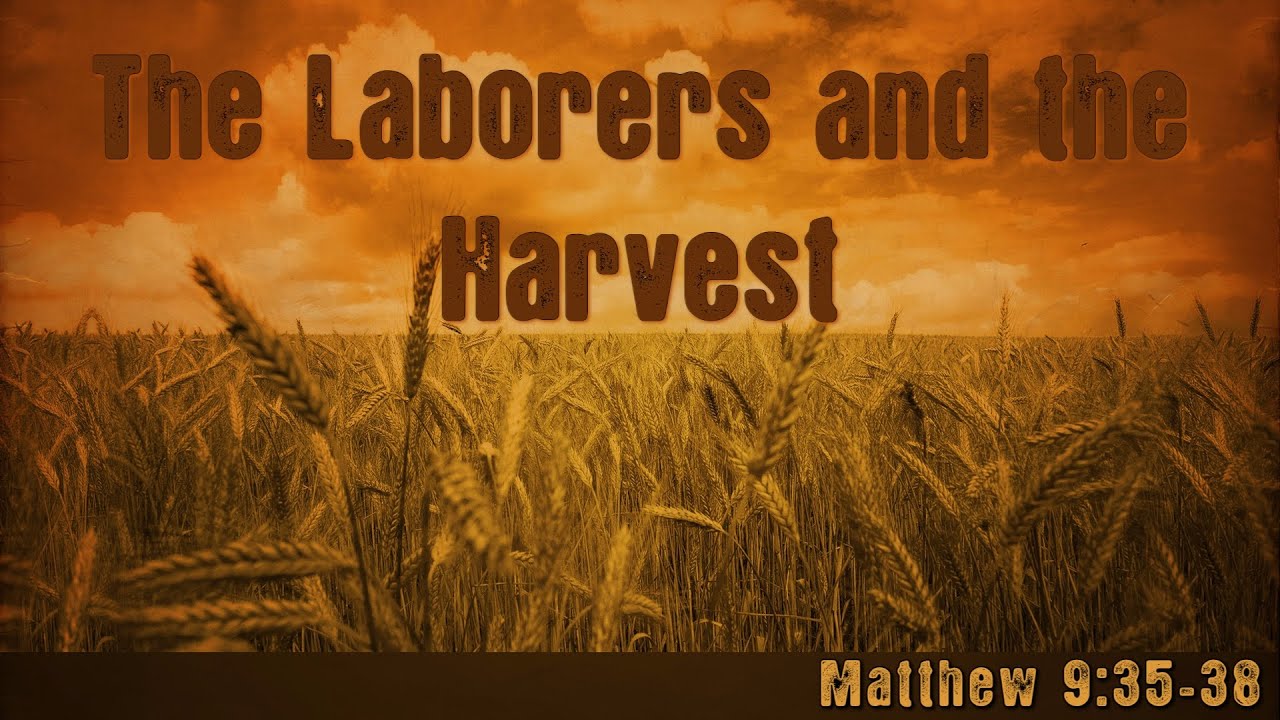 The Laborers and the Harvest - YouTube