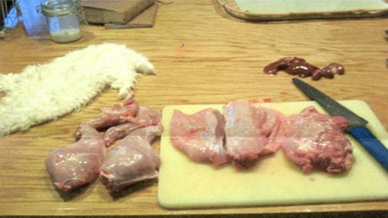 How To Raise Rabbit For Food (Method 1) - YouTube