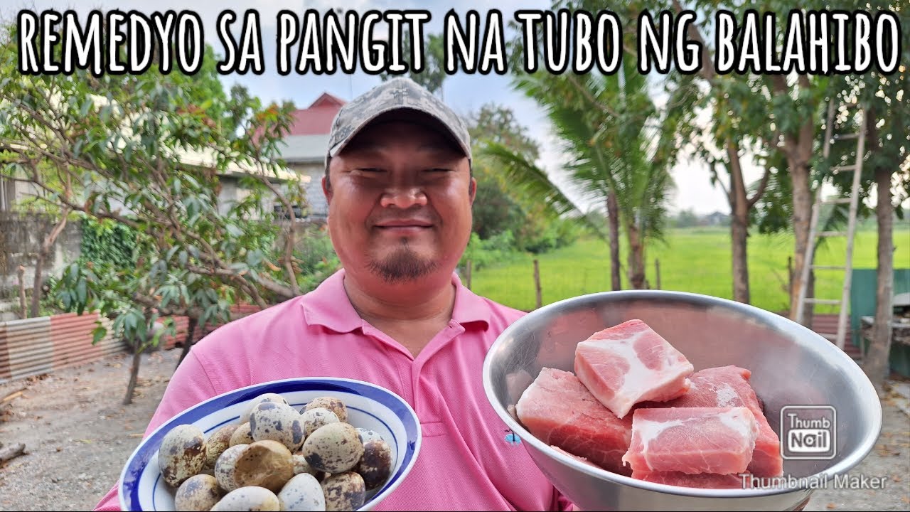 Remedyo sa pangit na tubo ng balahibo ng alagang manok na nag lulugon ...