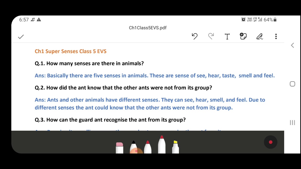 Chapter 1 Super Senses Question Answer Part 1 Class 5 EVS - YouTube