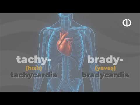 TIP TERİMLERİ - Bölüm1.2: Tıp Terimlerinde Kullanılan Önekler ve Son Ekler