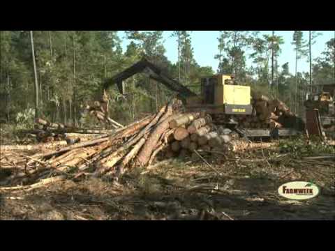 Outgoing MFA Logger of the Year - Anthony Logging, Farmweek TV - YouTube