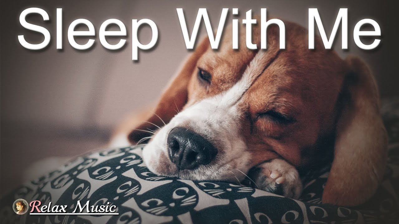 ★Let go of your worries ♫ Your body is calling for the bed~sleep with ...