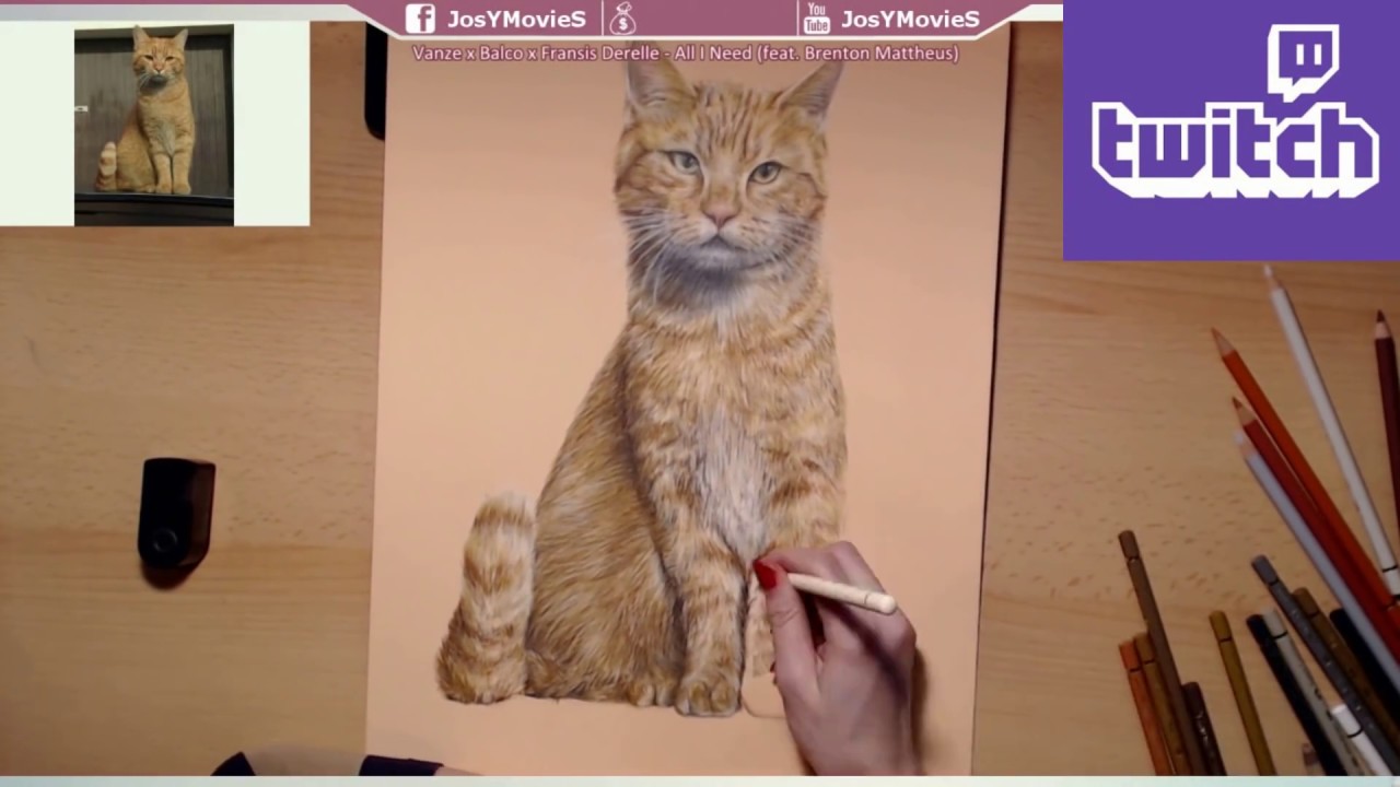Colored Pencil Drawing: Red Cat - Speed Draw | JosYMovieS - YouTube