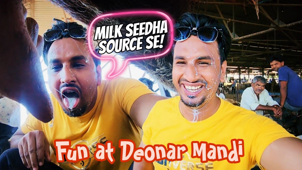Deonar Bakra Mandi 2025 | Shed Work, Qurbani Goats & Goat Milk Taste ...