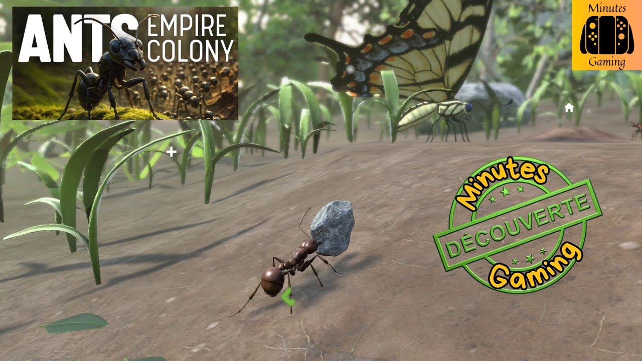Minutes Gaming "Ants Empire Colony" sur Nintendo Switch 1 - YouTube