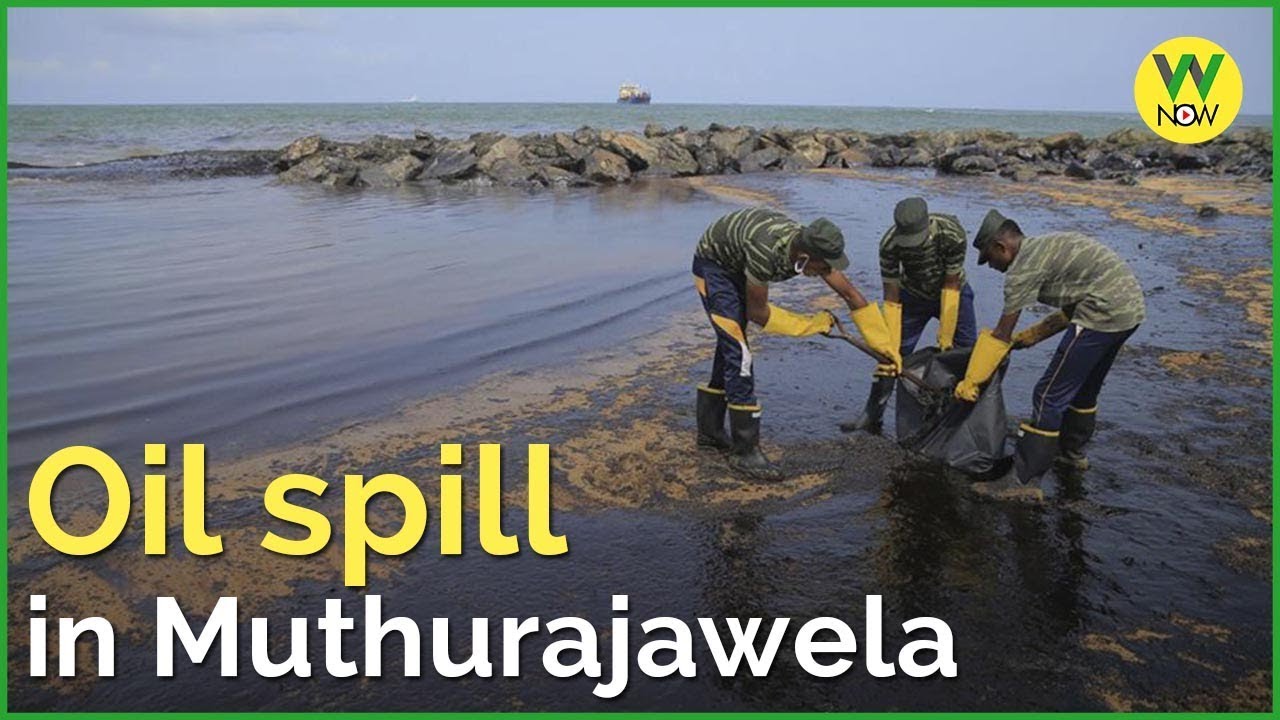 Oil spill in Muthurajawela - YouTube