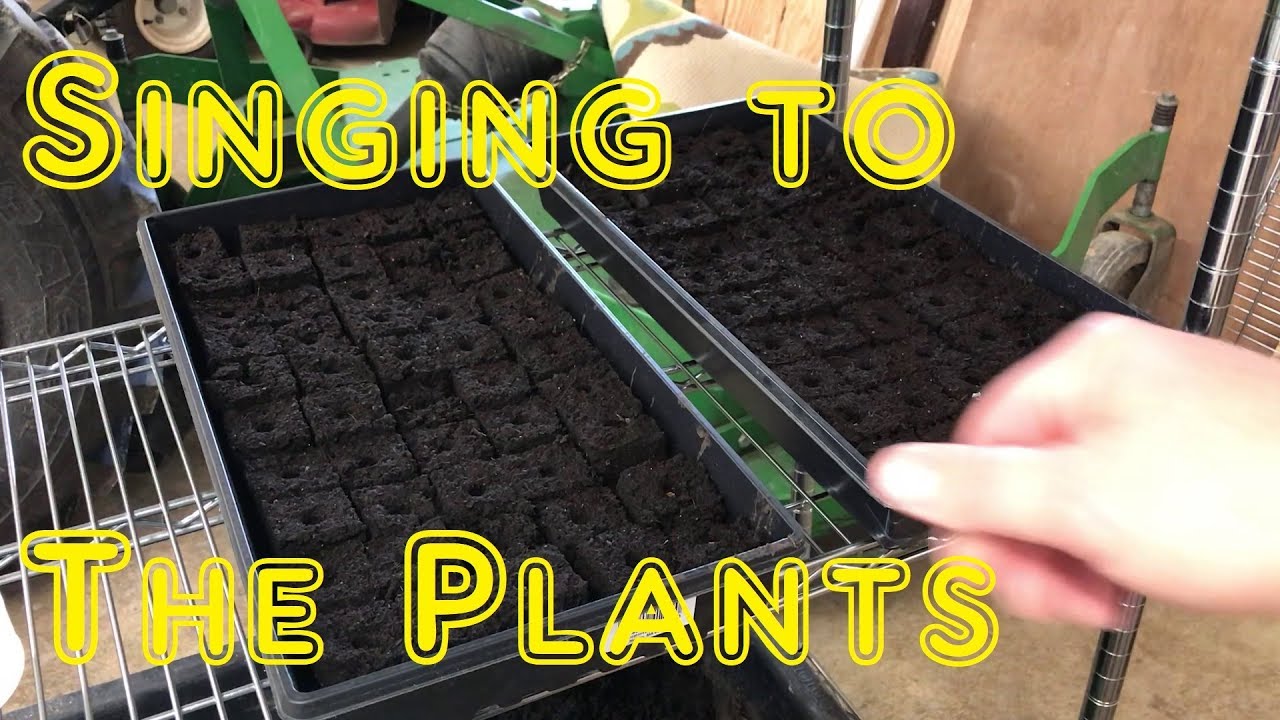 The Singing Homesteader, Seeds are Sprouting - YouTube