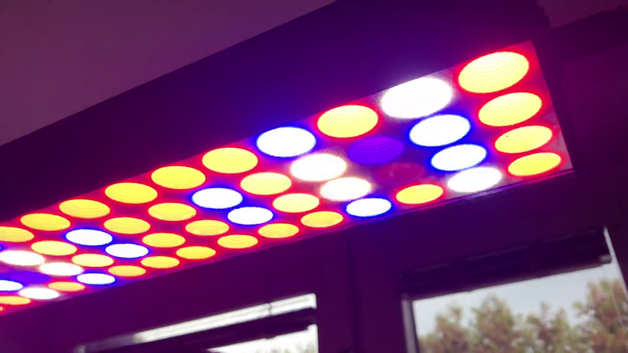 TEST Full spectrum Grow Led Light panel from AliExpress euro app 🔝 Haul ...