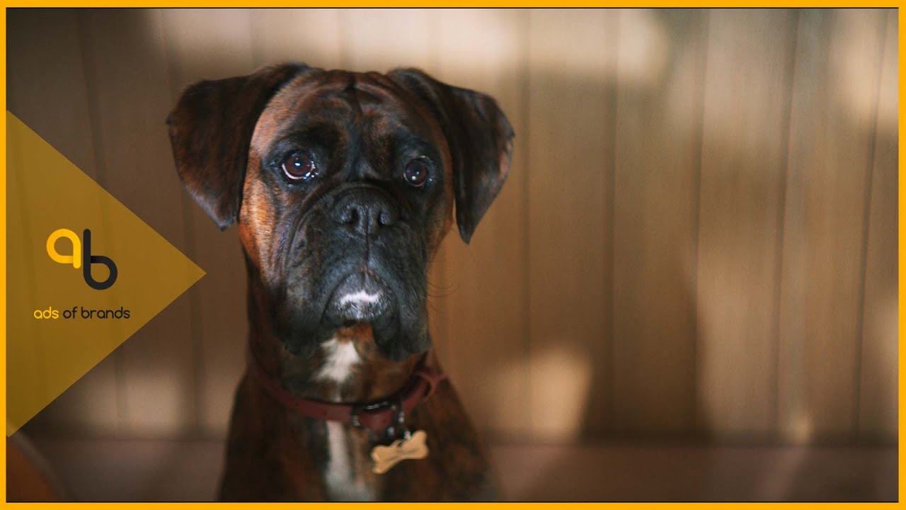 ClearScore: Wat Doing - YouTube