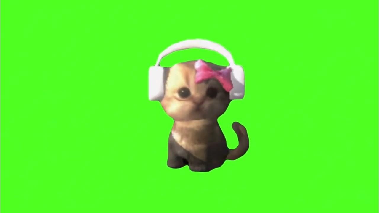 Sims Cat Vibing | Green Screen Meme - YouTube