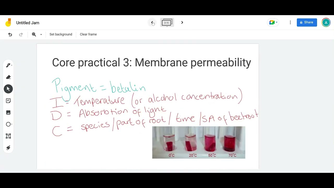 SNAB core practical 3 - YouTube