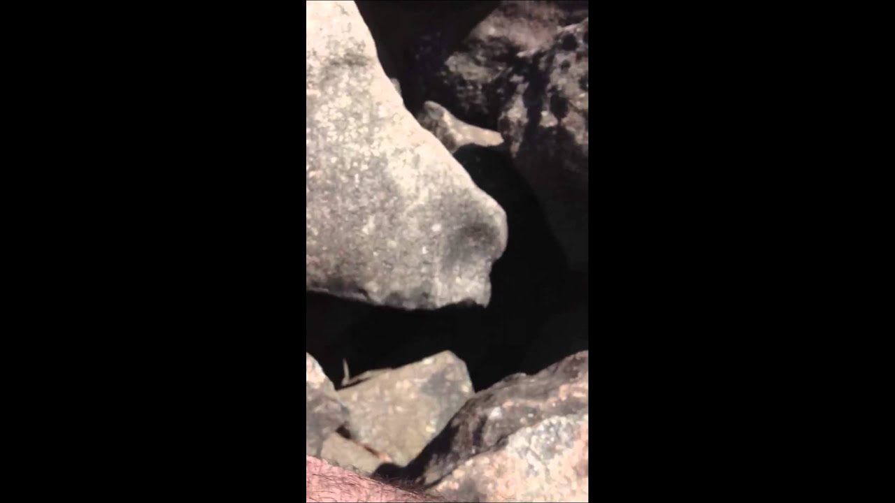 Ringing rocks with hammers - YouTube