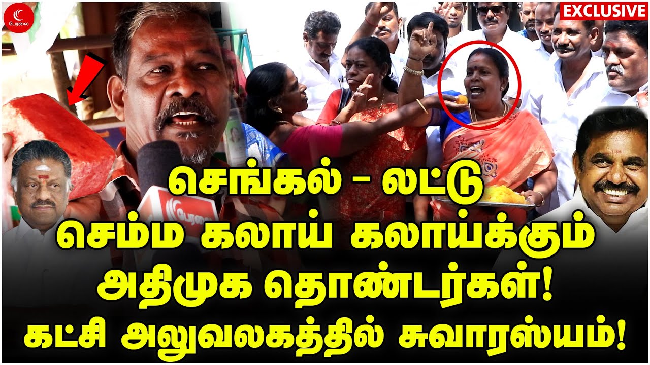 செங்கல் - லட்டு | செம்ம கலாய் கலாய்க்கும் அதிமுக தொண்டர்கள் | Supreme ...