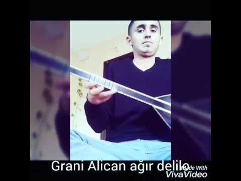 Bismilli Grani alican ağır delilo 2017