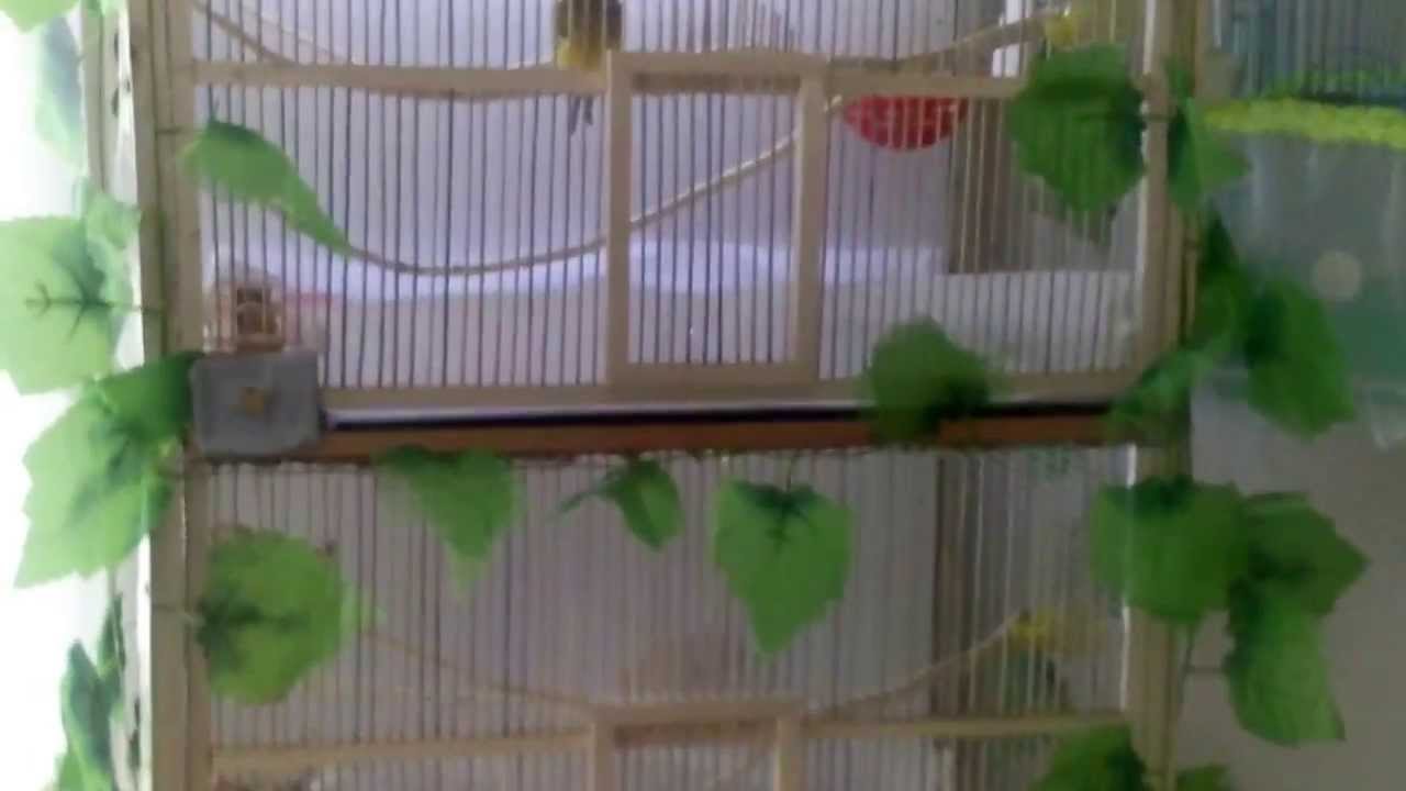 kafes video - YouTube