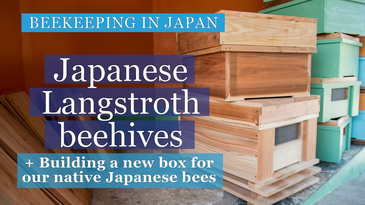 Japanese Langstroth beehive comparison » Beekeeping & Farming Japan ...