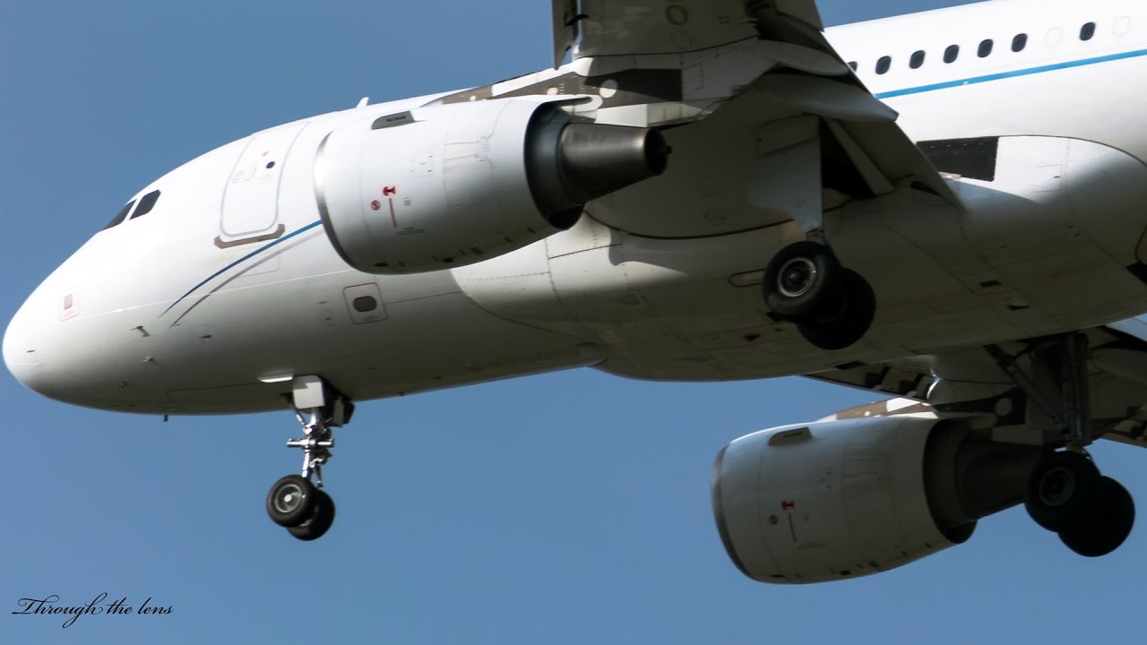 Special Arrival of Airbus A318-112 and UAE Lockheed C-130 Hercules ...