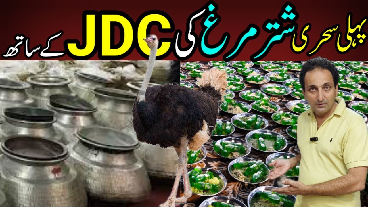 Ramzan kee Phali Sehri Shutar Murgh Ka Pulao JDC K Sath Ostrich Pulao ...