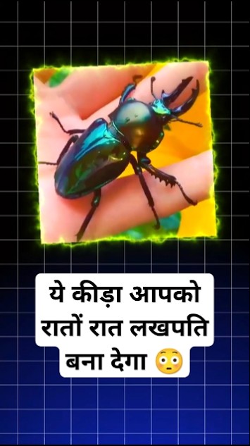Ye kida aapko raato raat lakhpati bana dega #shorts #shortvideo #short ...
