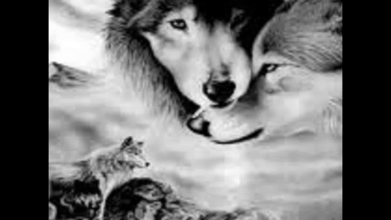 Join the Wolf Pack! - YouTube