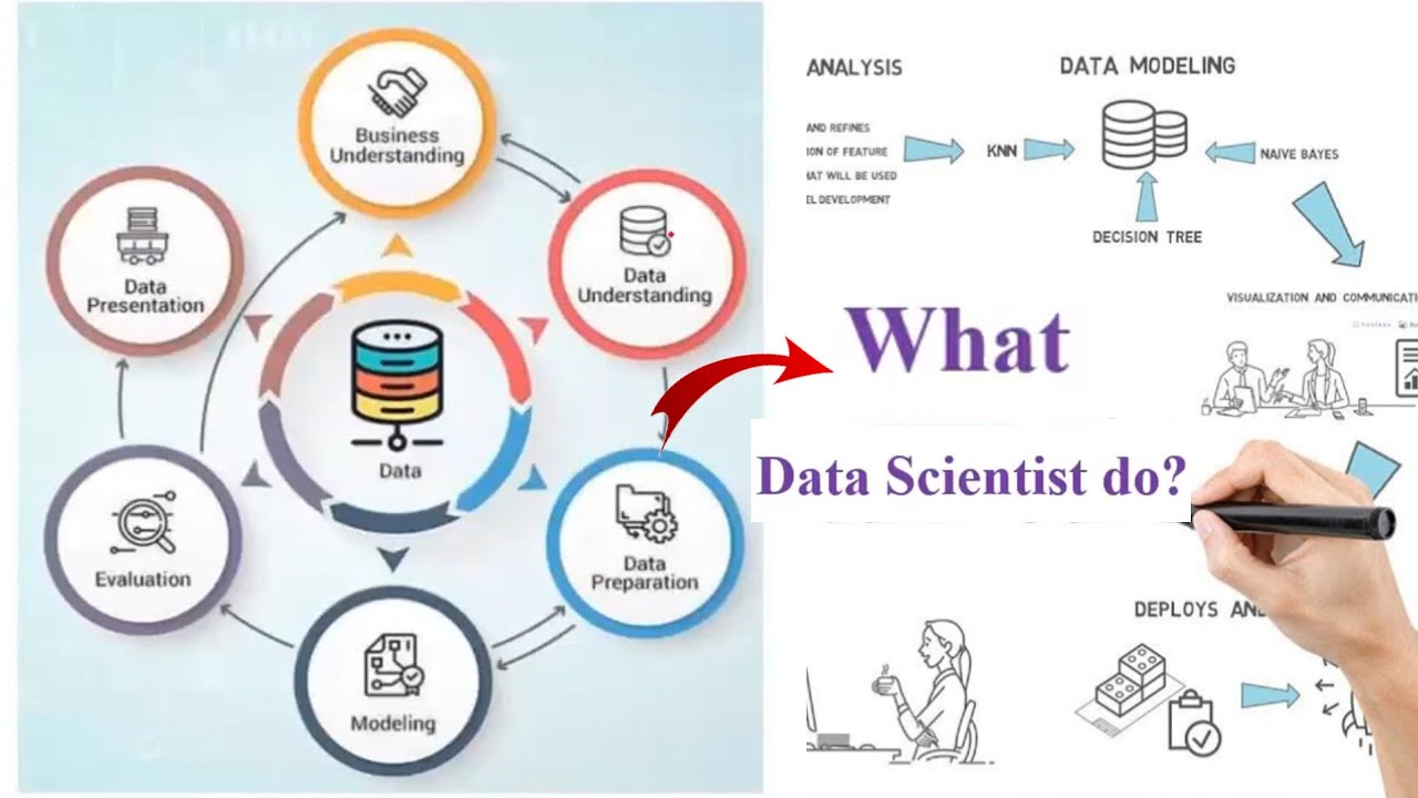 Class 2| What data scientist do?|Roles |complete data science classes #datascience #ai #coding ...