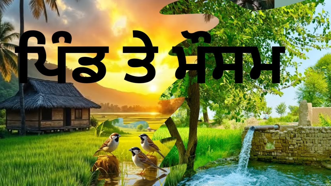 ☁️ ਅੱਜ ਕਿਵੇਂ ਰਿਹਾ ਮੌਸਮ?"| Pind Life & Culture” - YouTube