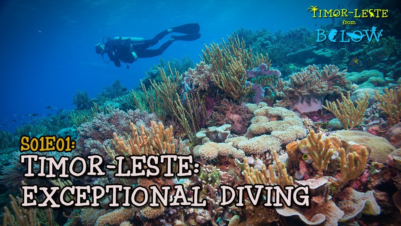 Best Scuba Diving Destination You’ve Never Heard Of [4K] | Timor-Leste ...