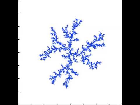 Simulation of a Diffusion Limited Aggregate (DLA) - YouTube