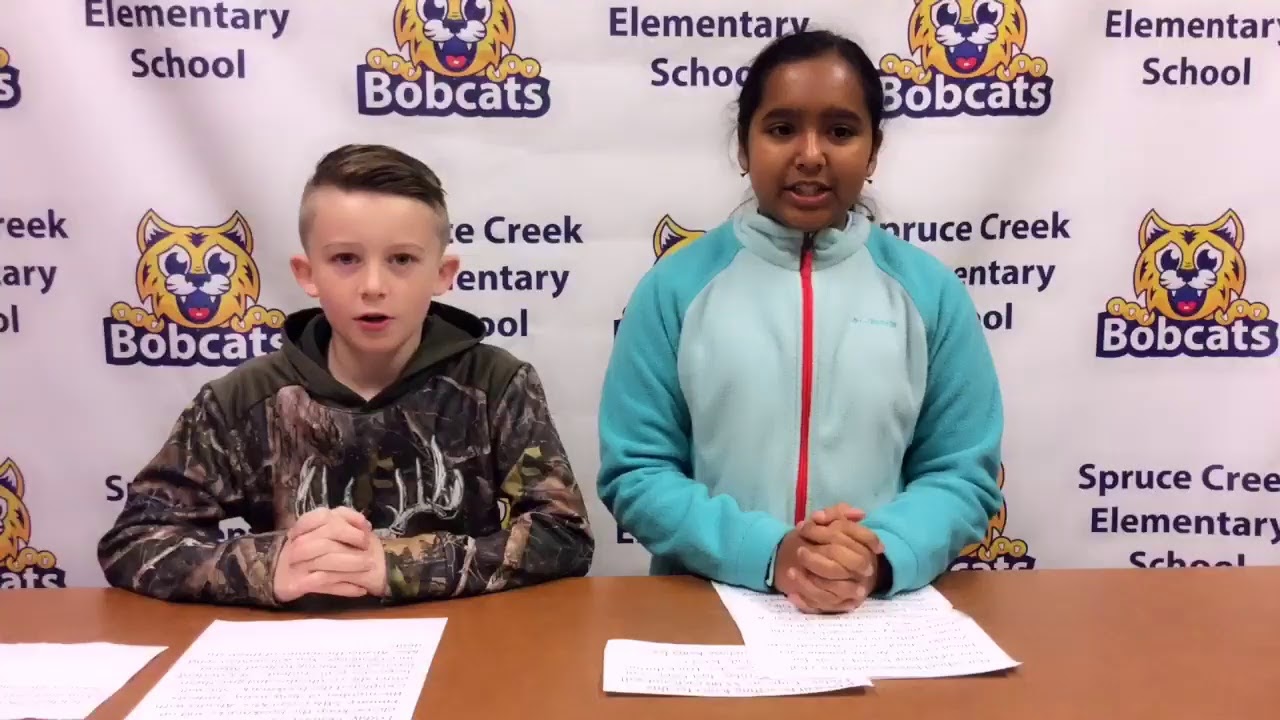 Spruce Creek Elementary Live Stream - YouTube