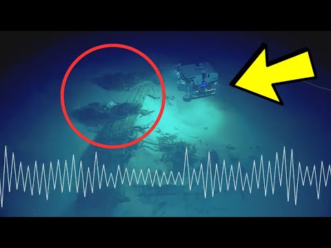 'Alien’ Sounds from Deepest Ocean Trench is Finally Solved After 10 ...