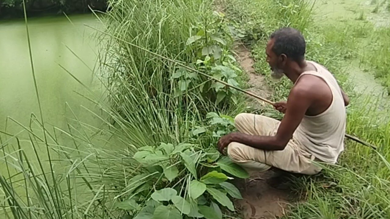 Method of catching fish from pond with spear।। village fishing।। rsl ...