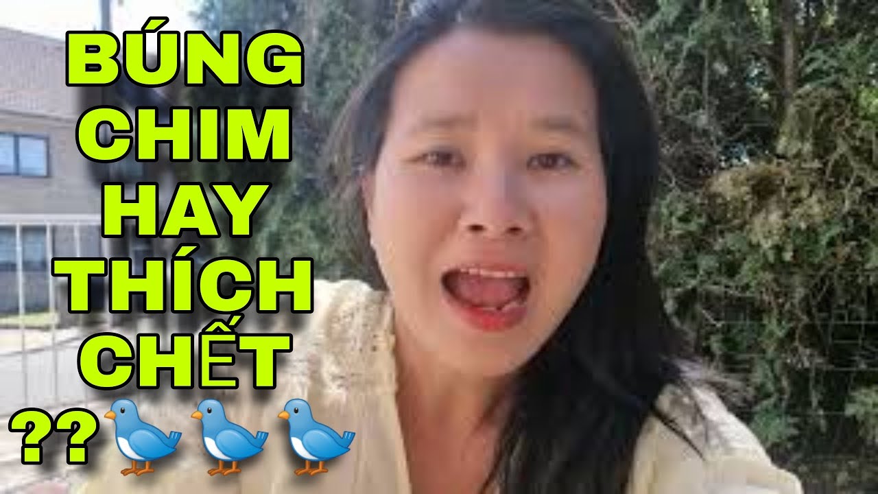 🔥🥵BÚNG CHIM HAY THÍCH CHẾT ?? CƯỜI MUỐN XỈU/ NGOC CHANNEL - YouTube
